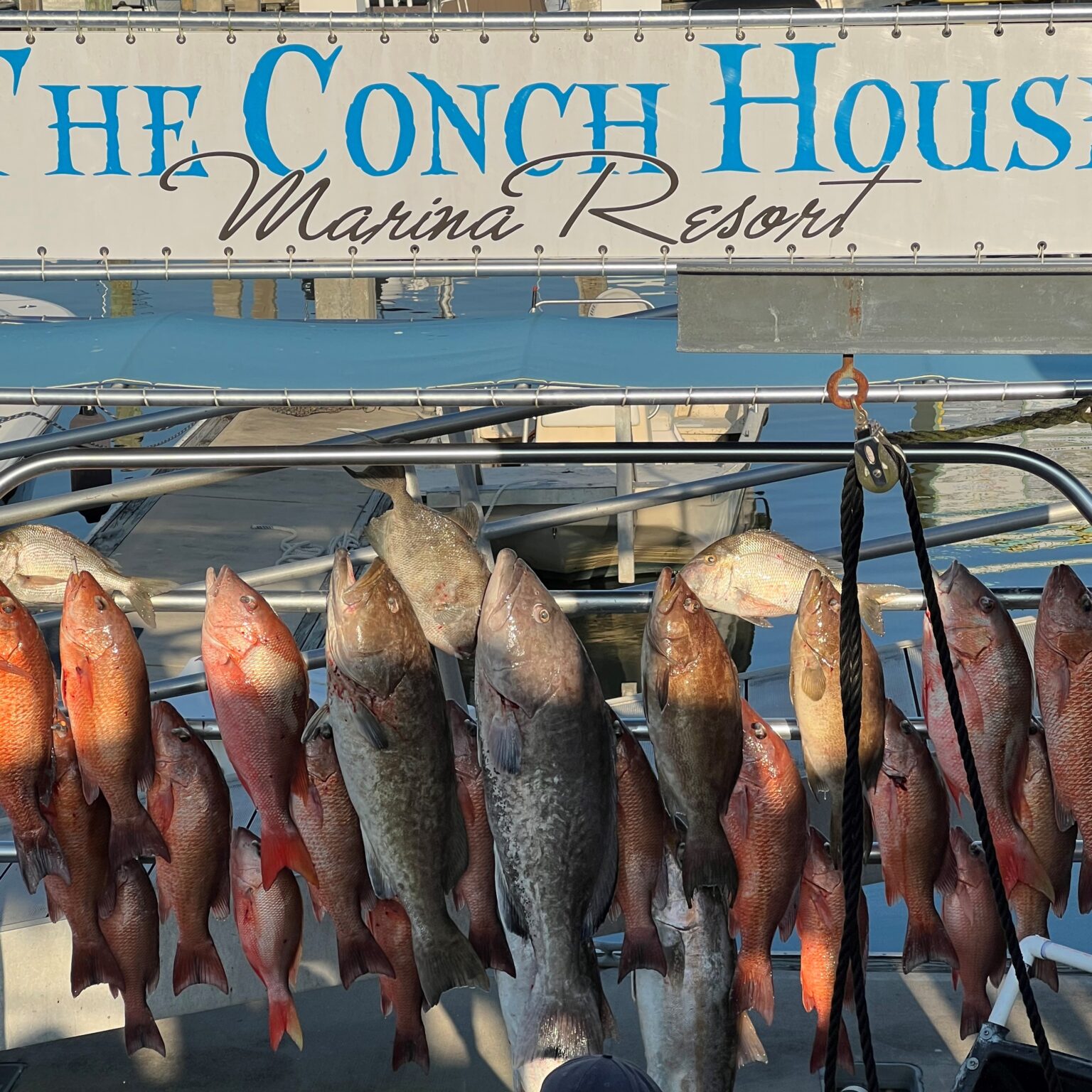Conch House Marina – Naut 2 Late